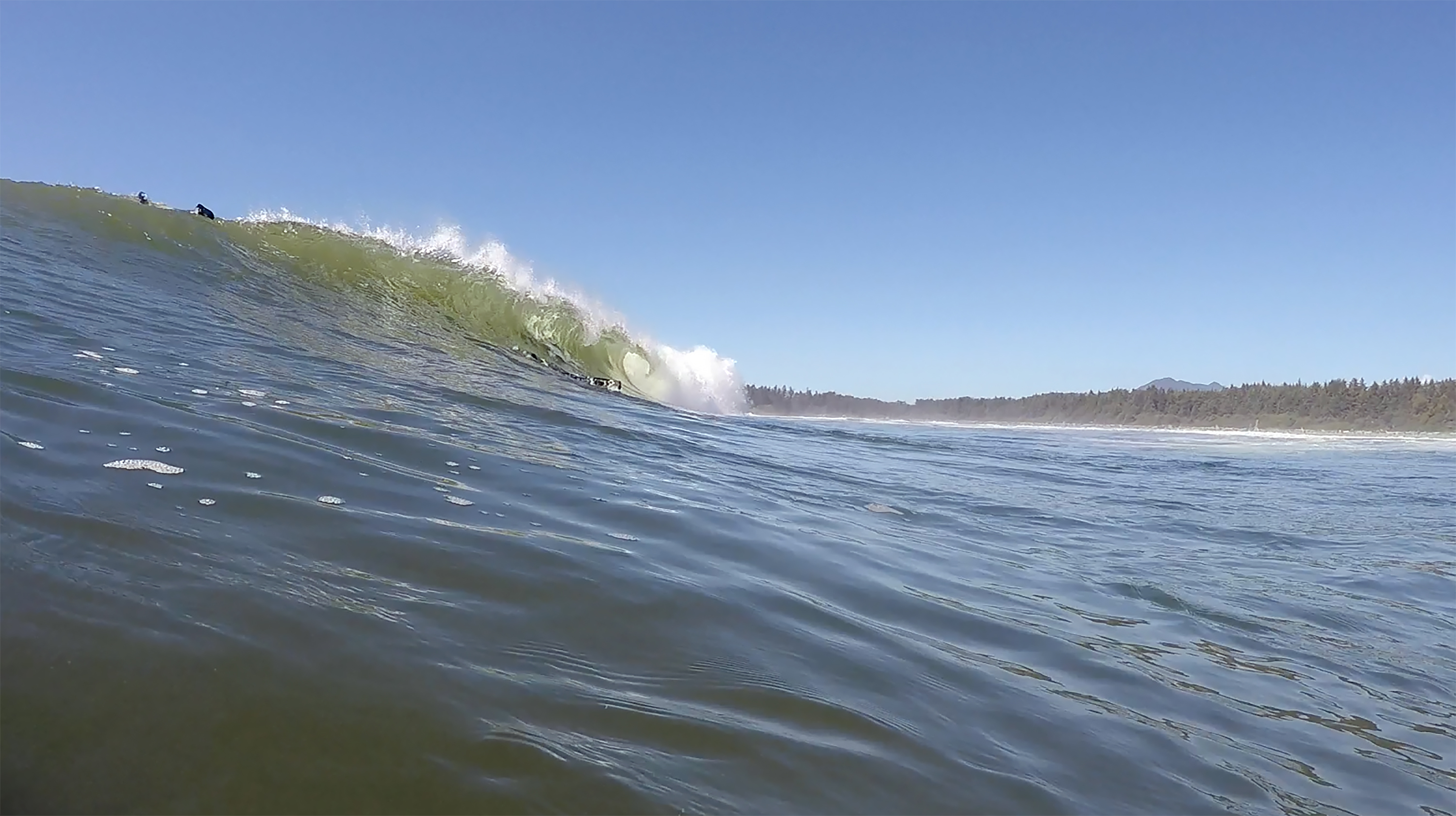 Tripping Fins: Canada – Swell Lines Mag